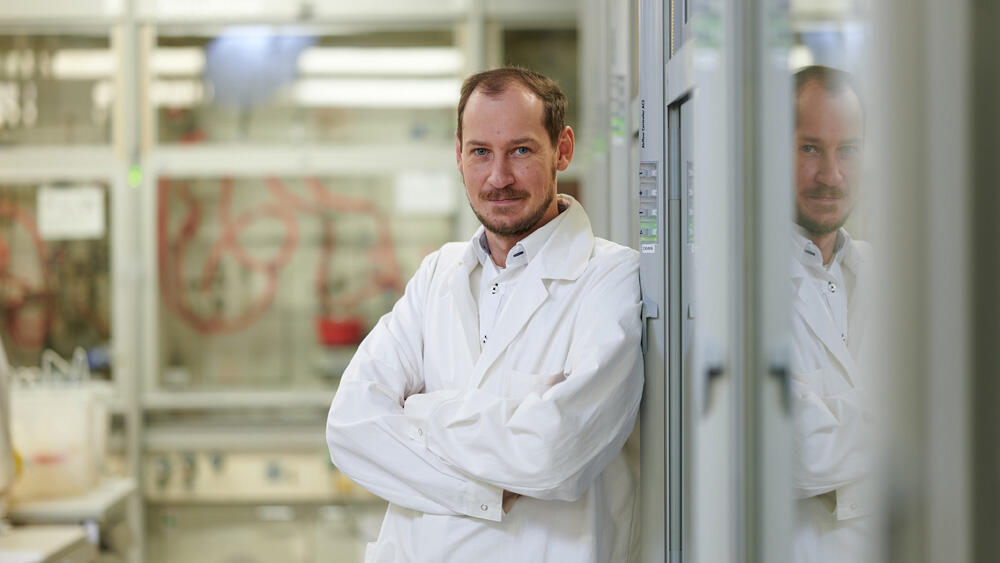 Michael Giese wird Heisenberg-Professor | Deutsches Stiftungszentrum